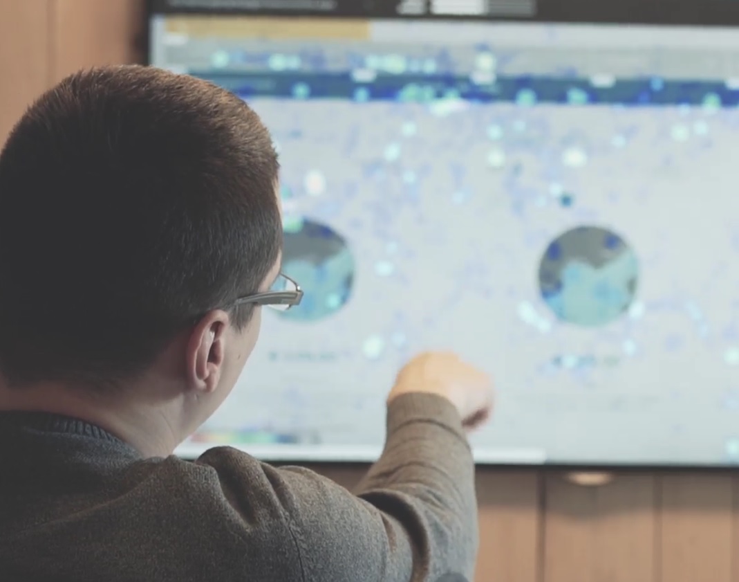 Le caratteristiche di un buon Digital Analyst - TSW